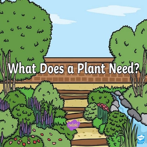 plants needs and plants parts chapter3.grade 3 | PPTX