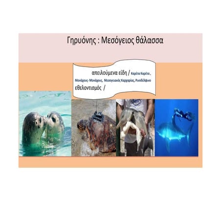 Μεσόγειος θάλασσα | PPTX