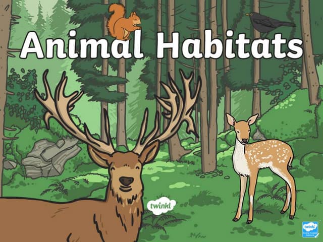 Farm.pet.wild.animals.1st grade | PPT
