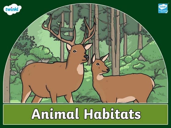 Habitats for plants and animals | PPT | Birds | Pets