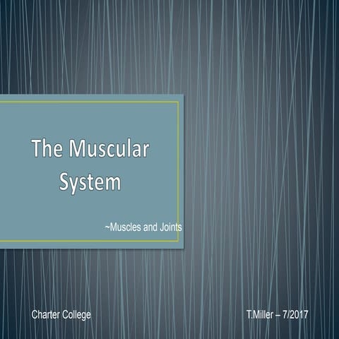 Lesson 2 tendons, ligaments, cartilage and joints | PPTX