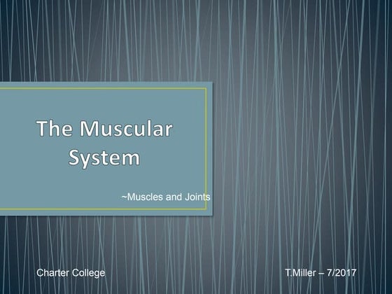 Major muscles 1 | PPT