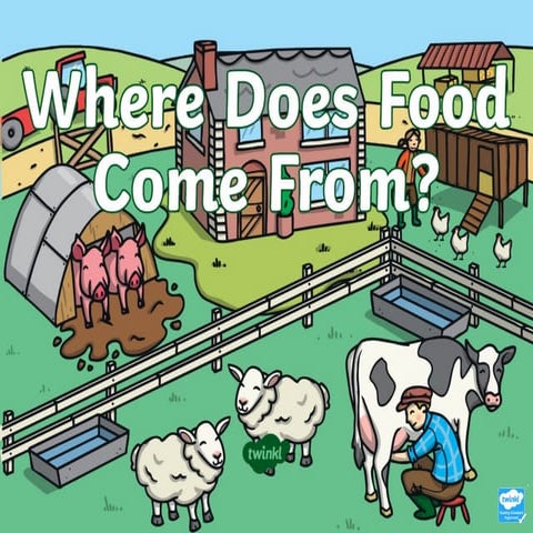 t-tp-69791-where-does-food-come-from-powerpoint_ver_1.pptx