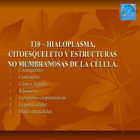 T10 - Hialoplasma, citoesqueleto y estructuras no membranosas de la ...
