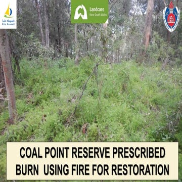 BushfireConf2017 – 15. Coal Point Burn to manage Asparagus aethiopicus ...