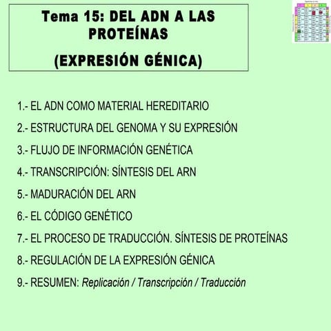 T15 - Del ADN a las proteínas | PPT