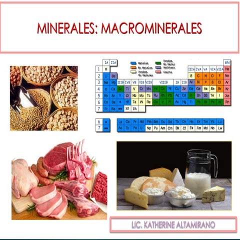 T 15 Minerales: Macrominerales 12345.pdf
