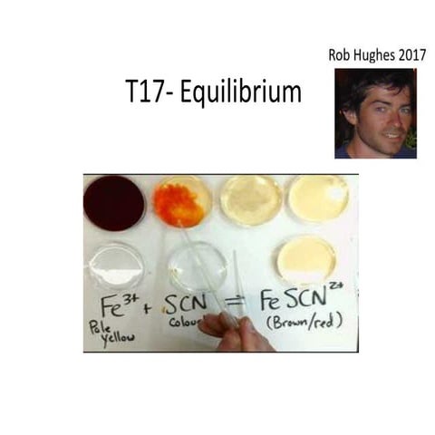 T17 IB Chemistry Equilibrium | PDF