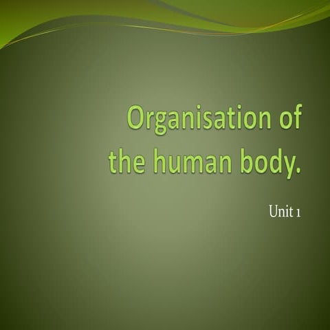 Organisation of the body. | PPTX
