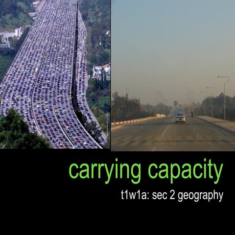 Visualize Carrying Capacity and Limiting Factors with this Informative ...