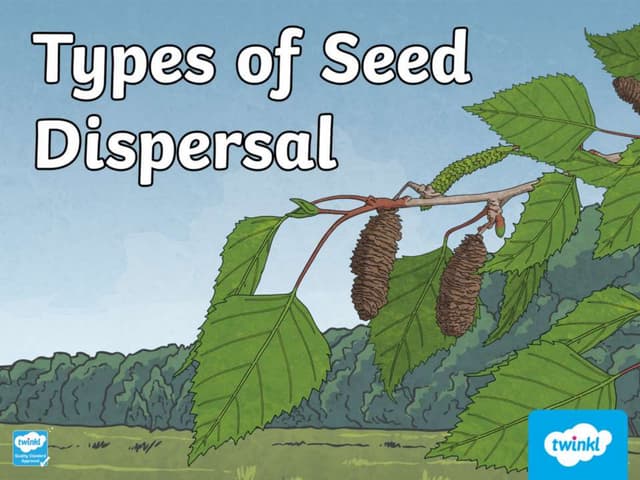 Mechanisms of seed dispersal | PPT
