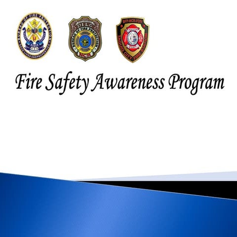 BFP Basics.pptx