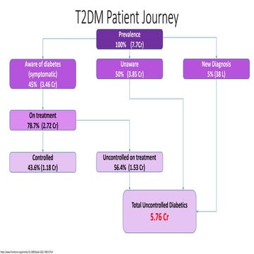 T2DM Patient Funnel.pptx