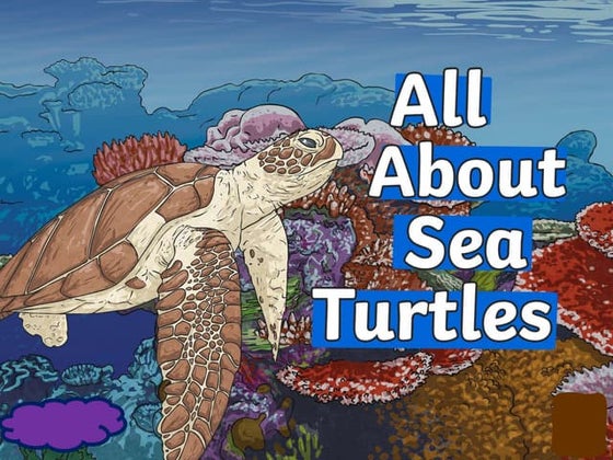 Life Cycle of Turtle (From Egg to Adult Sea Turtle) | PDF