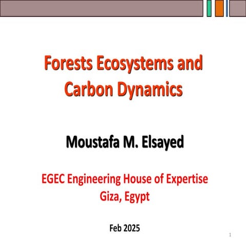 T31 Forests Ecosystems and Carbon Dynamics 250227.pdf