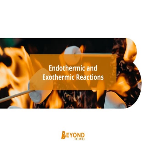 and-exothermic-reactions-information-powerpoint_ver_1.pptx