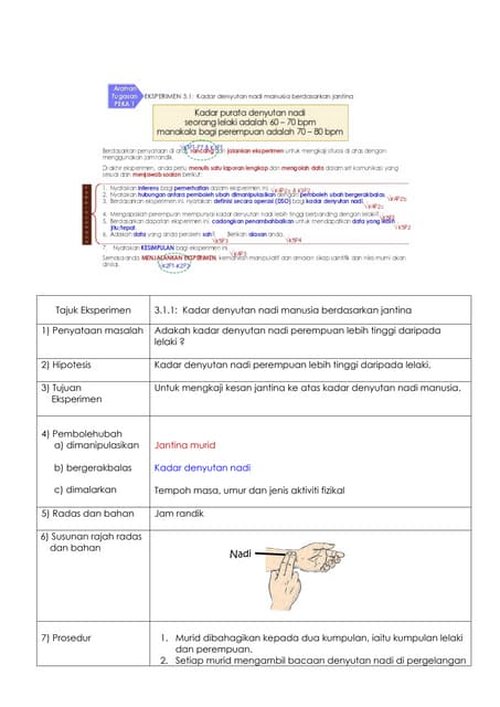 Explorace stem 2019 | DOCX