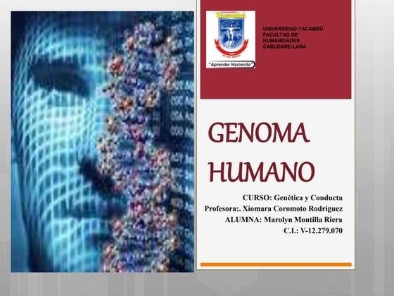 El Genoma Humano, Características, Definición, ETC | PPT
