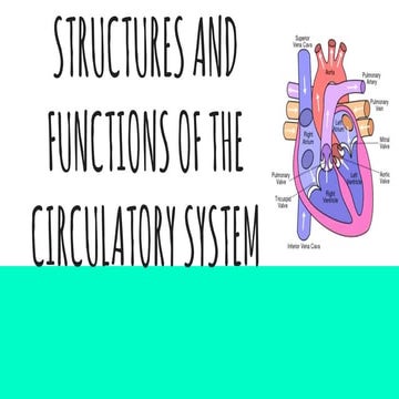 Structures and functions of the circulatory system | PPTX