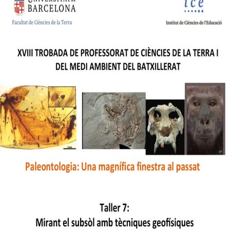 Taller 7 .Mirant el subsòl | PDF