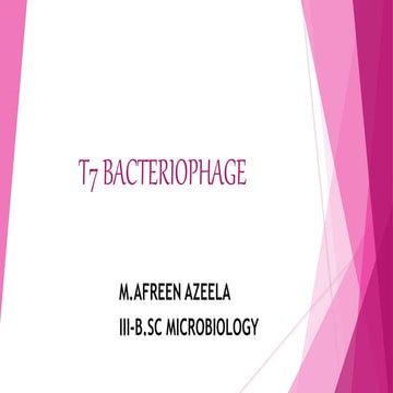 T7 BACTERIOPHAGE.pptx