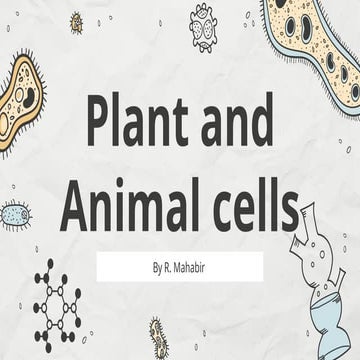 Life and Living- Cells. Grade 10, Term 1 | PPTX