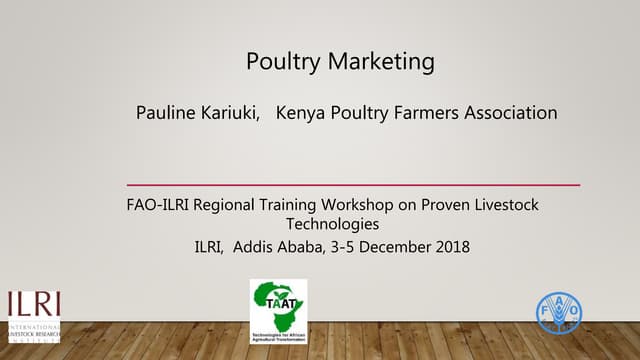 Poultry farming business plan example | PDF