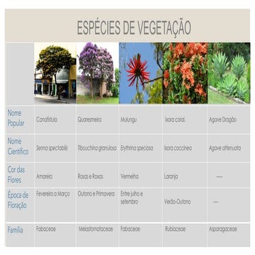 Tabela botânica.pdf