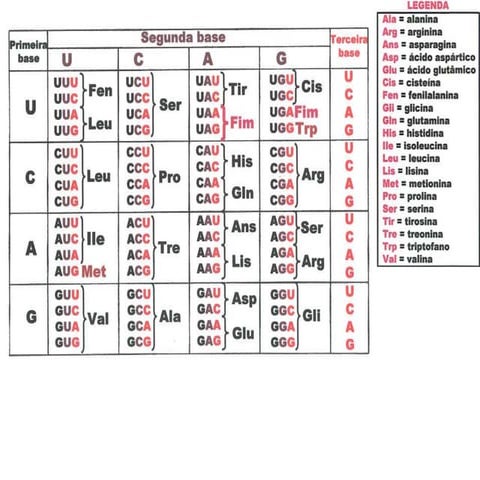 Tabela codons | PPT