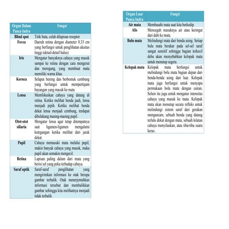 Tabel Mata - Tugas Psikologi UNJ - Psikologi Faal | DOCX