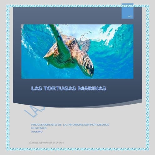 Guía para la Conservación de Tortugas Marinas | PDF