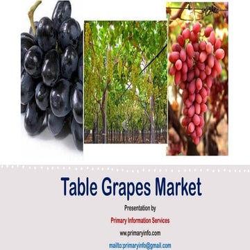 Table grapes | PDF