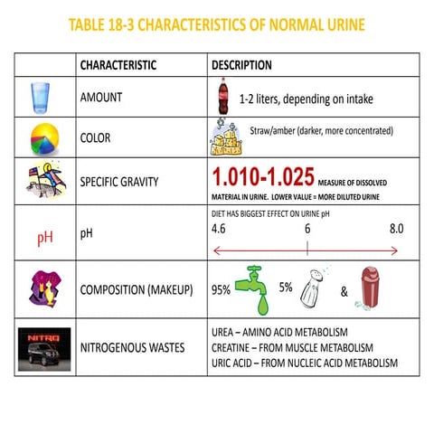 Table 18 3 normal urine | PPTX