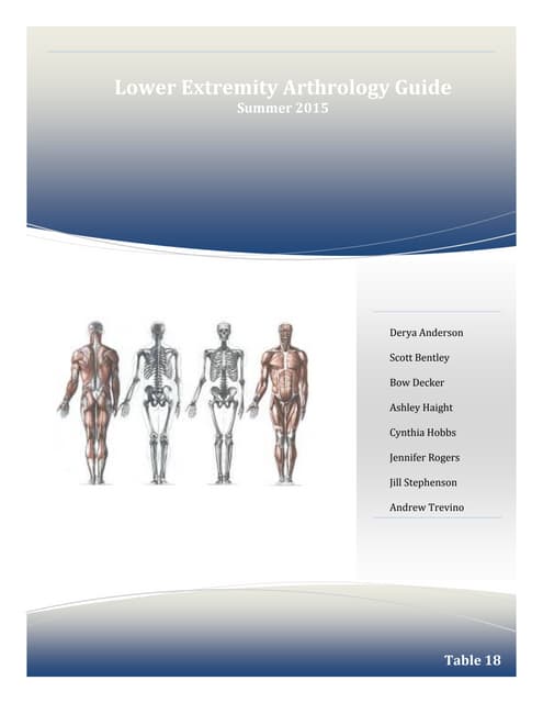 Lower limb muscles attachment | PDF | Death, Injury, or Military ...