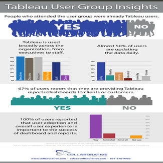 Tableau Users Group Insights | PDF