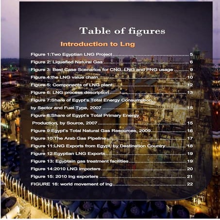 TABLE OF FIGURES.pdf