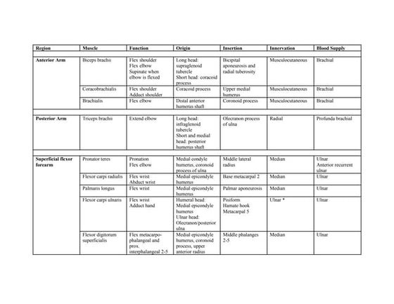 Muscles of the lower limb | PDF