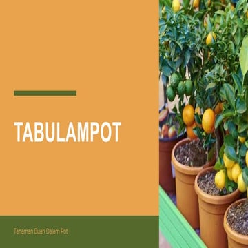 Tabulampot | PPTX
