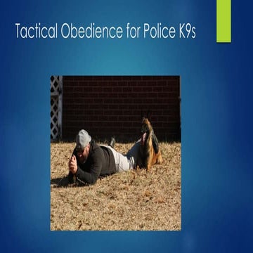 Tactical Obedience For Police K9s Edited. pptx | PPTX