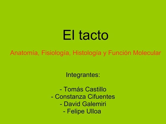 Corpusculos de la piel | PDF