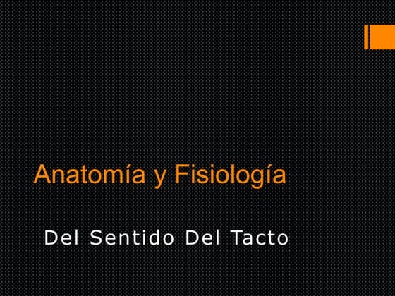 Anatomia y fisiologia del sentido del tacto | PPT