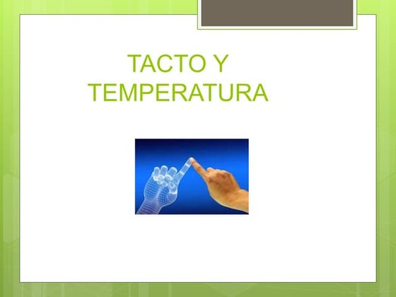 El Sentido del Tacto | PPT