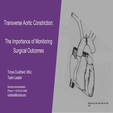 Transverse Aortic Constriction: The Importance of Monitoring Surgical ...