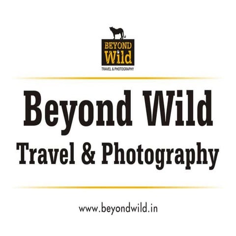 Tadoba_Beyond Wild group departures for 2023-24..pptx