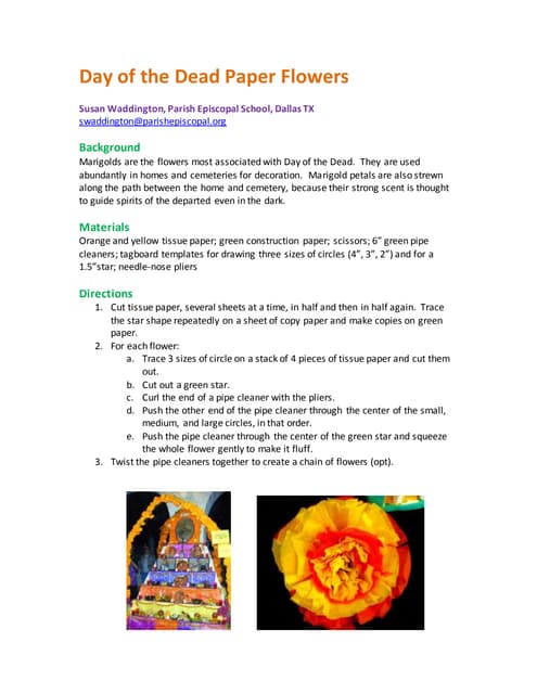 Nancy Walkup presentations