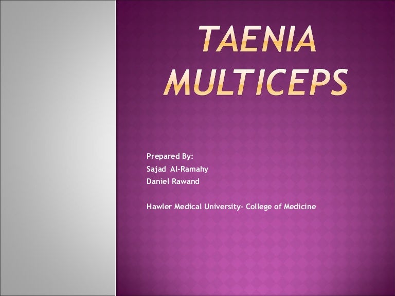 Taenia multiceps