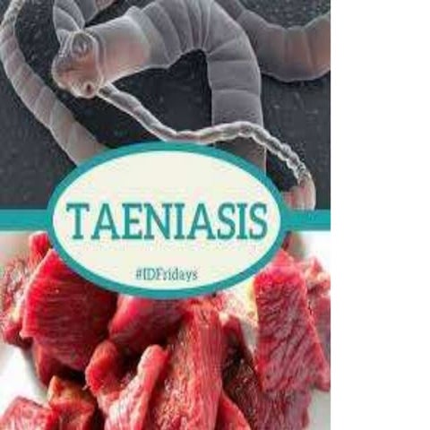 Taeniasis | PPTX | Infectious Diseases | Diseases and Conditions