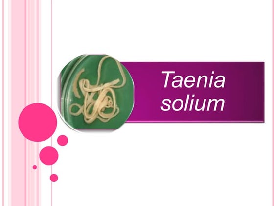Taenia solium | PPTX | Digestive Disorders | Diseases and Conditions