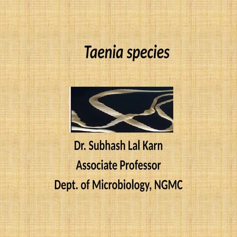 Taenia spp.. | PPTX