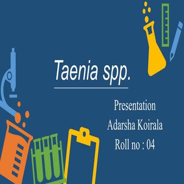 Taenia spp presentation . Given in detail | PPTX